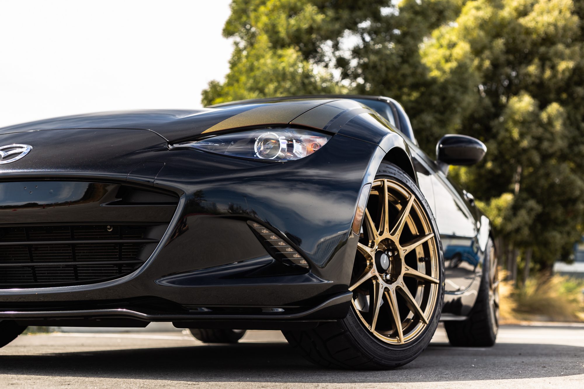 MX-5 Advanti Storm Wheels • Edel Alon