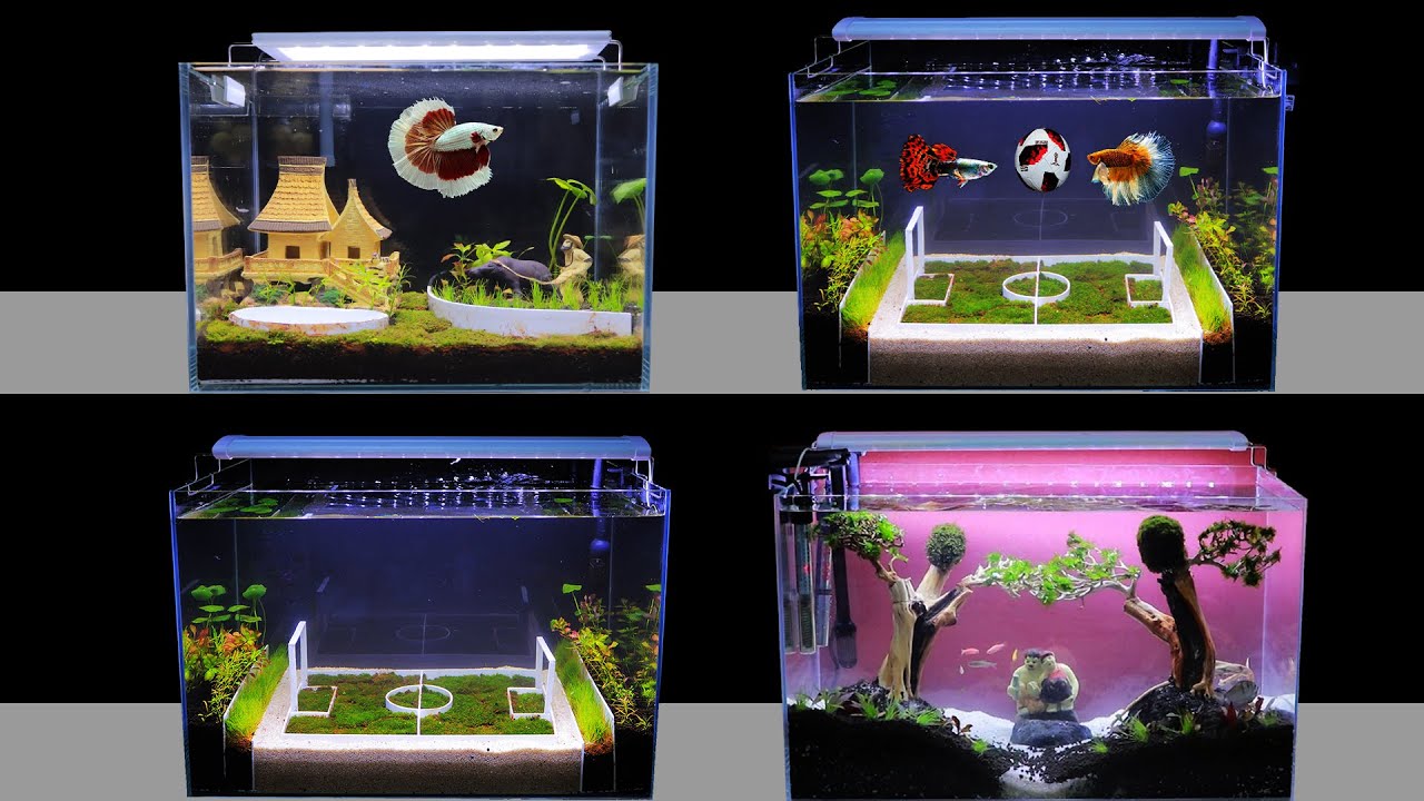 Planted Fish Tank • Edel Alon