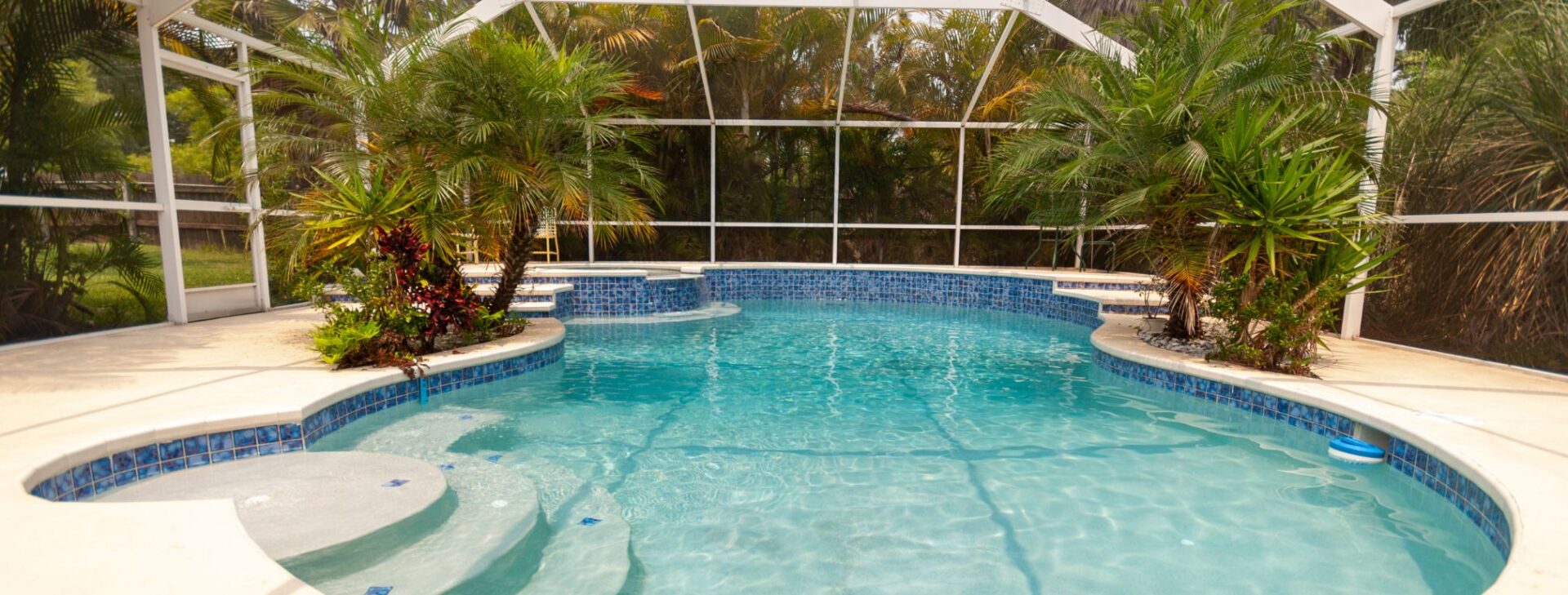 Common Issues In-Ground Pool Owners Will Face • Edel Alon