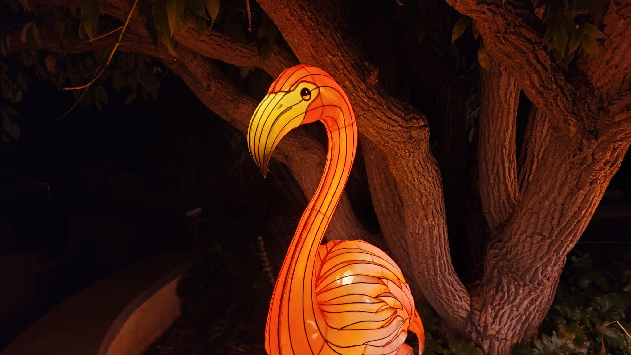 Glowfari Illuminates the Oakland Zoo with a Magical Winter Wonderland ...